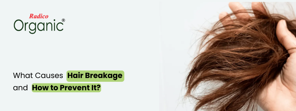What Causes Hair Breakage and How to Prevent It? - Radico Mall